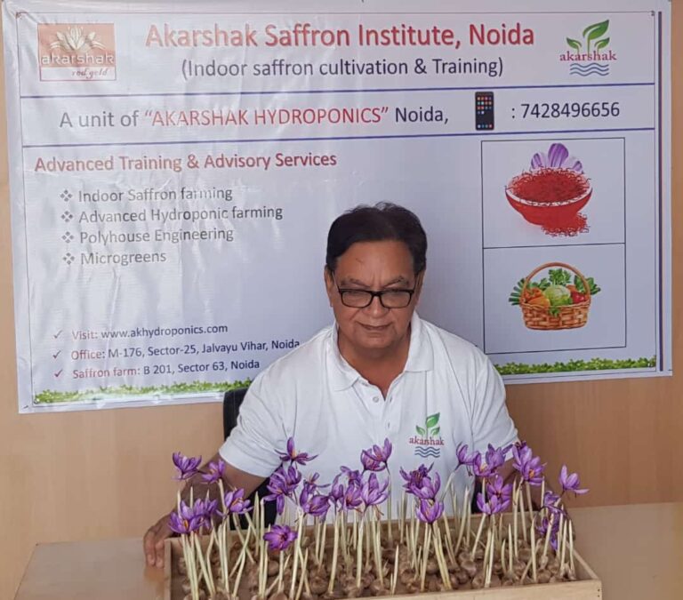 Best Saffron Training Institute in Panchkula