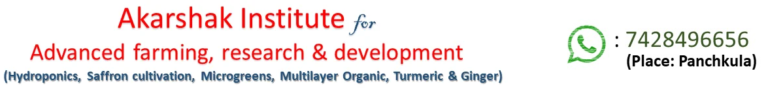 Best Saffron Training Institute in Panchkula